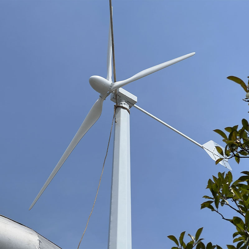 China FLTXNY new energy 10kw horizontal On Grid wind turbine generator ...
